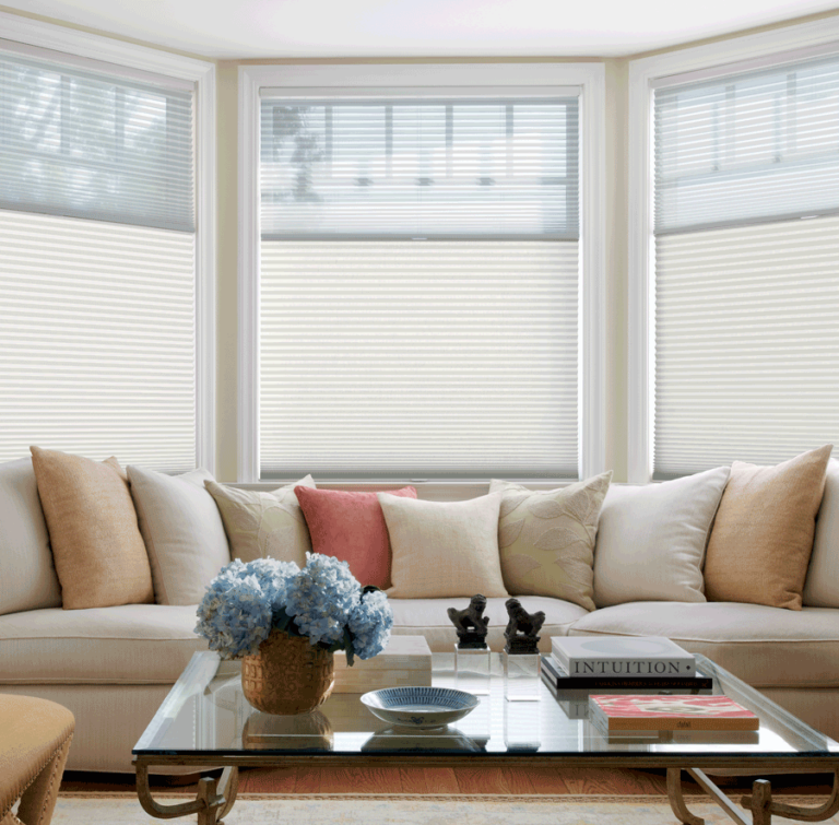 Discover Solutions with Top Down Bottom Up Shades