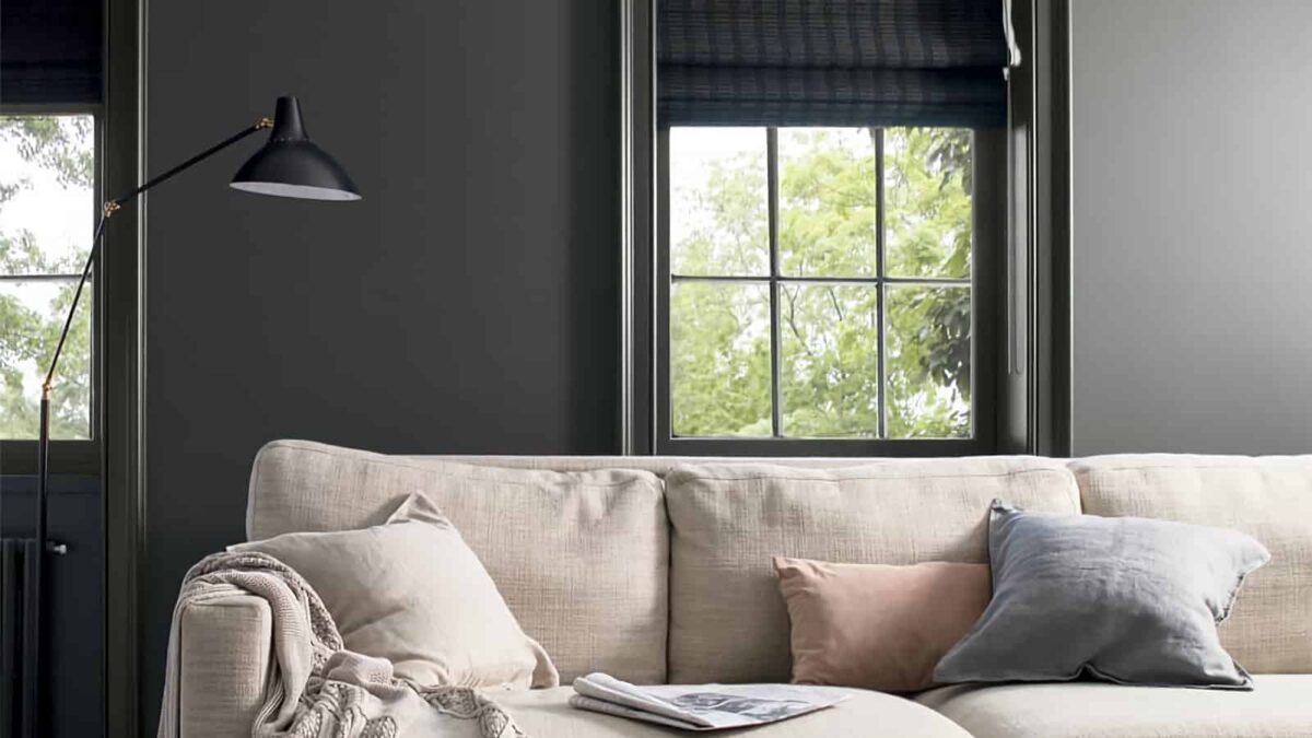 Paint | Janovic - The Color Authority