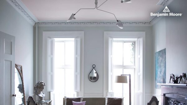 How to Perfectly Paint a Ceiling on the First Try - Janovic
