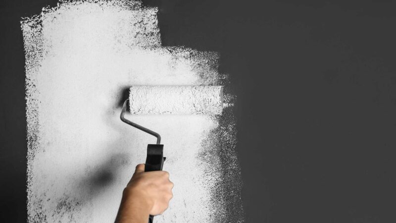 Paint | Janovic - The Color Authority